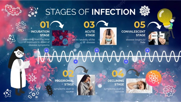 stages of infection