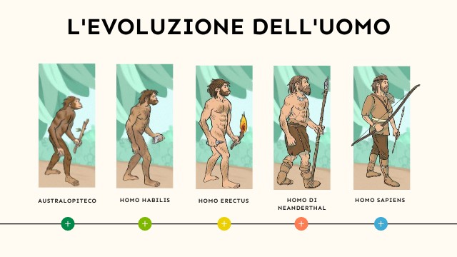 L'EVOLUZIONE DELL'UOMO