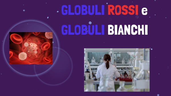 Diagramma Dei Globuli Bianchi