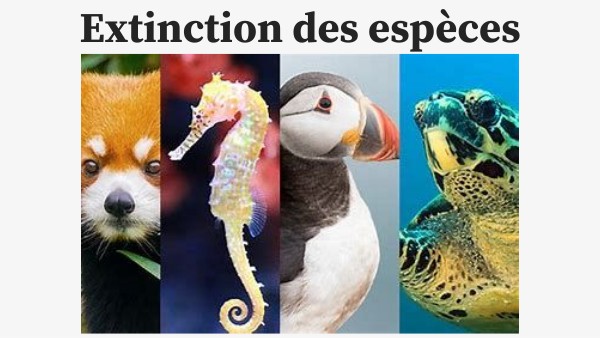 Extinction des espèces