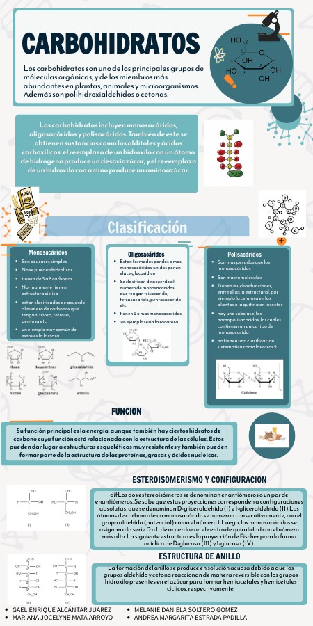 Infografía carbohidratos