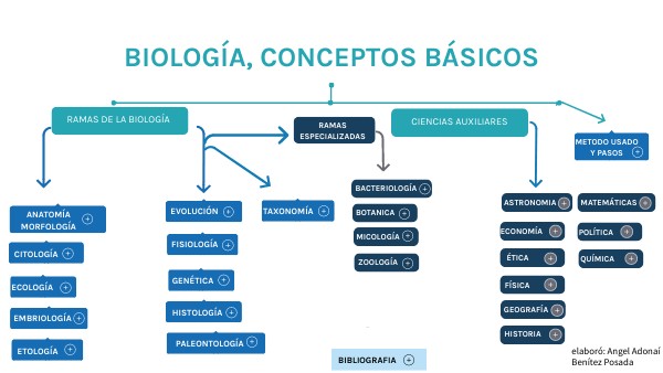 Biología, conceptos básicos