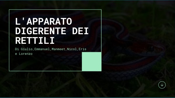 L'APPARATO DIGERENTE DEI RETTILI