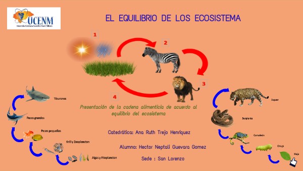 Presentación de Cadena Alimenticia