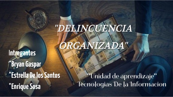 Delincuencia Organizada