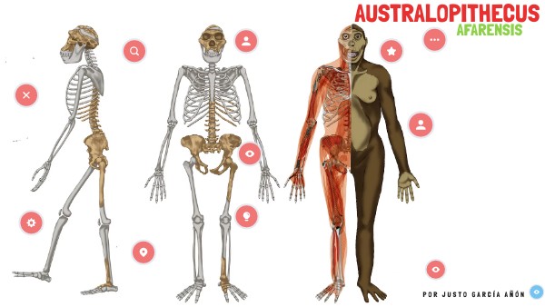 1ºESO_AUSTRALOPITHECUS