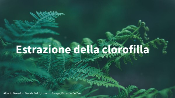 Diagramma Semplice Della Clorofilla