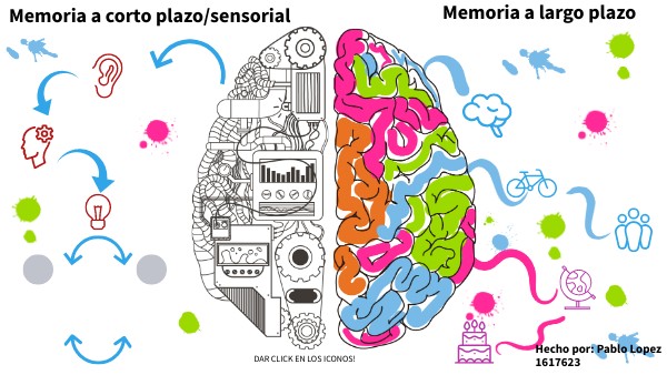 Memoria Sensorial Memoria A Corto Plazo Y Memoria A Largo Plazo