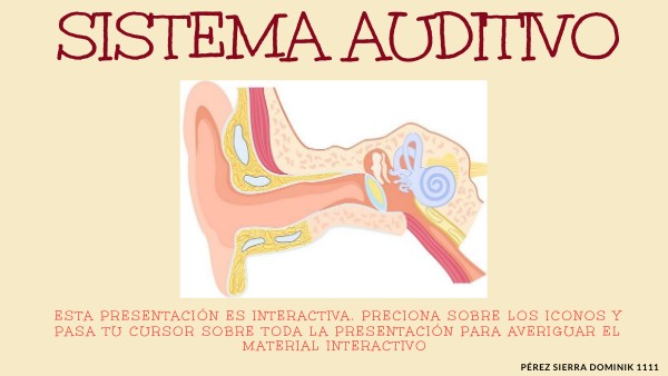 SISTEMA AUDITIVO