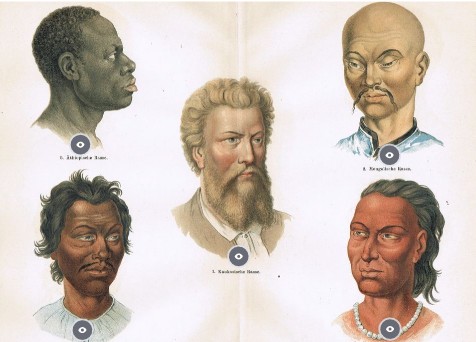 Biotipologías o Razas Humanas