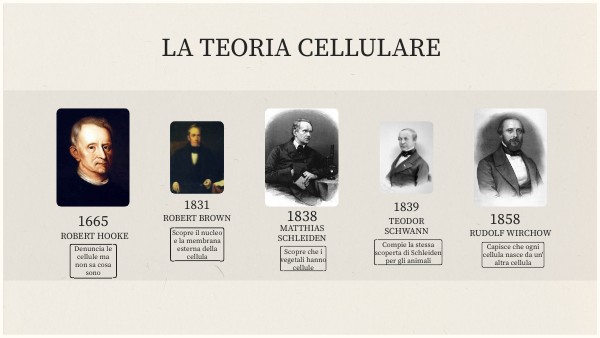 TEORIA CELLULARE