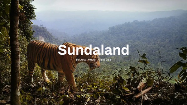 Biodiversity hotspot - Sundaland