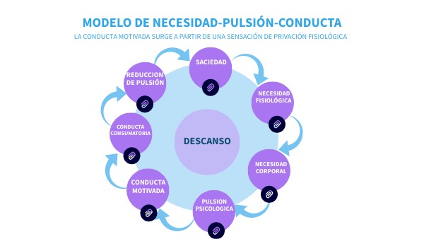 NECESIDAD-PULSION-CPNDUCTA