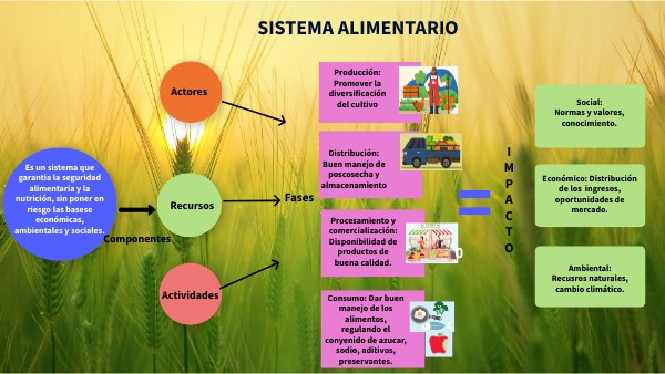 Sistema Alimentario