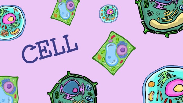 CELL