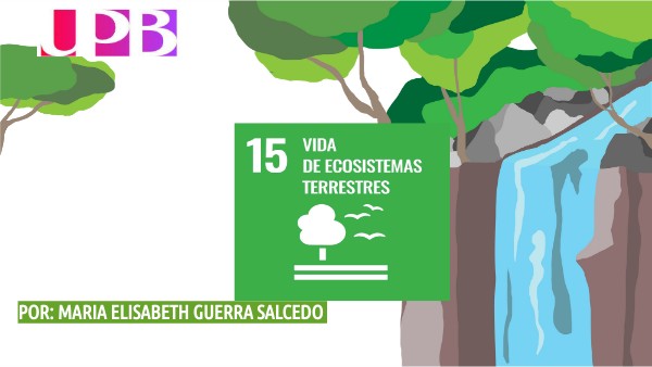 PRESENTACIÓN ODS 15