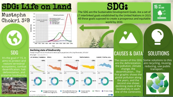 SDG INFOGRPHY