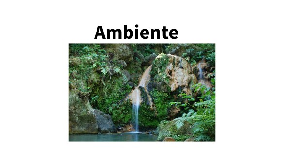 Ambiente