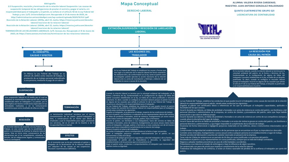 MAPA CONCEPTUAL CAJAS