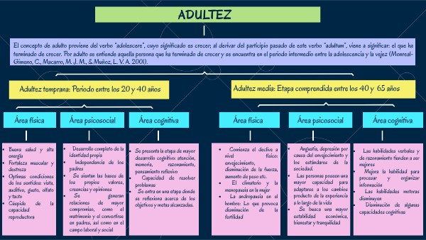 MAPA CONCEPTUAL ADULTEZ