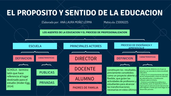 Los Agentes De La Educacion Y El Proceso De Profesionalizacion