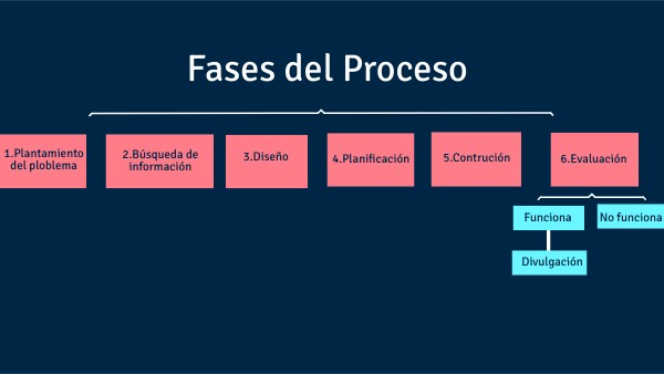 Fases del Proceso