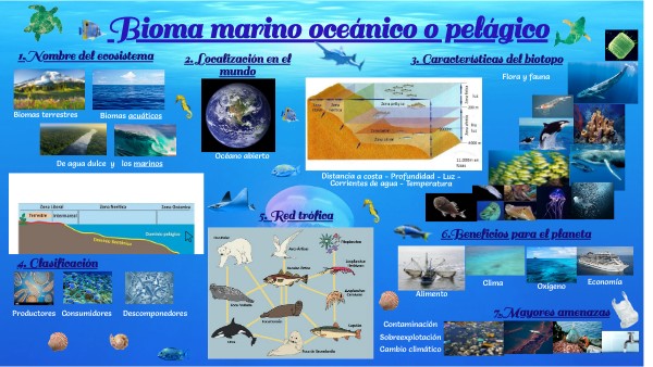 BIOMA MARINO OCEÁNICO O PELÁGICO