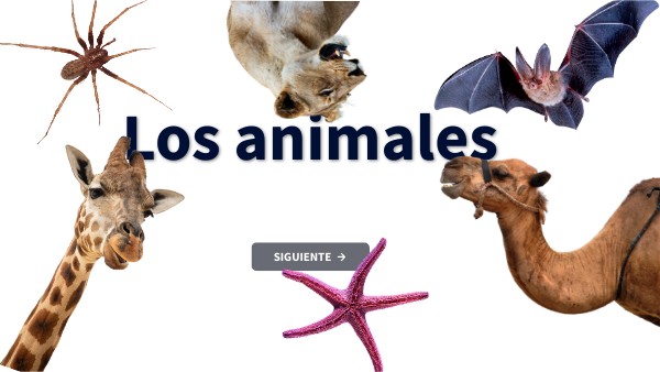 Los animales