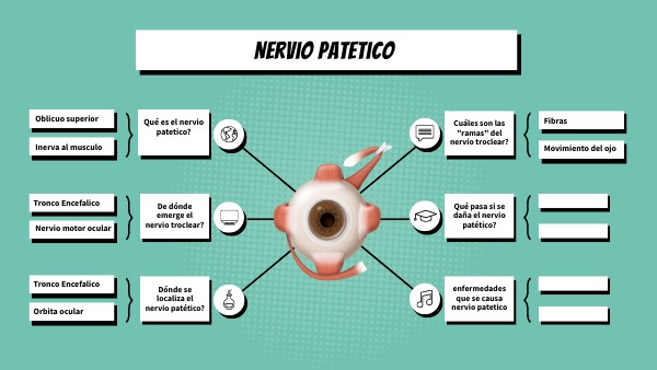 Nervio Patetico