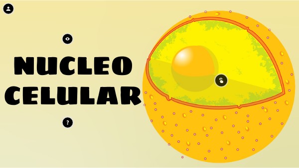 IMAGEN INTERACTIVA DEL NUCLEO CELULAR
