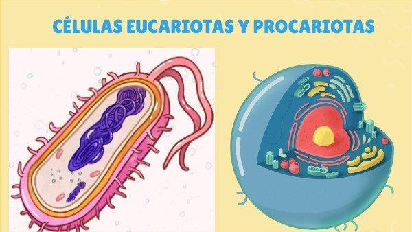 LA CÉLULA EUCARIOTA Y PROCARIOTA