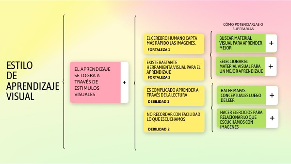 ESTILO DE APRENDIZAJE VISUAL