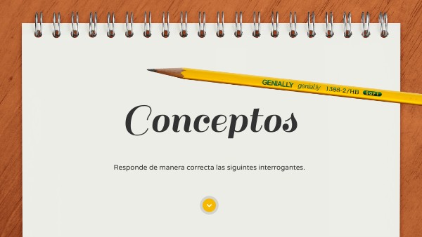 Conceptos