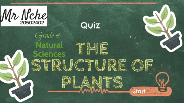 The Structure And Function Of Plants! Trivia Facts Quiz – FDDC