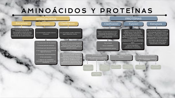 Mapa Conceptual De Aminoacidos Y Proteinas