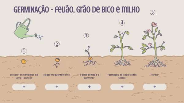 Germinação 1º H