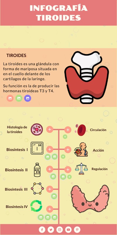 Infografía Tiroides