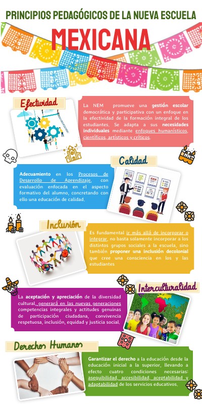 INFOGRAFÍA PRINCIPIOS NEM