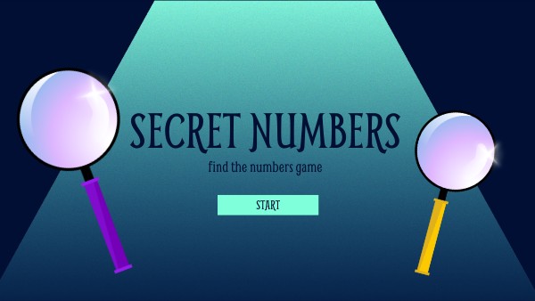 SECRET NUMBERS