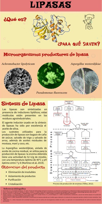 Lipasa
