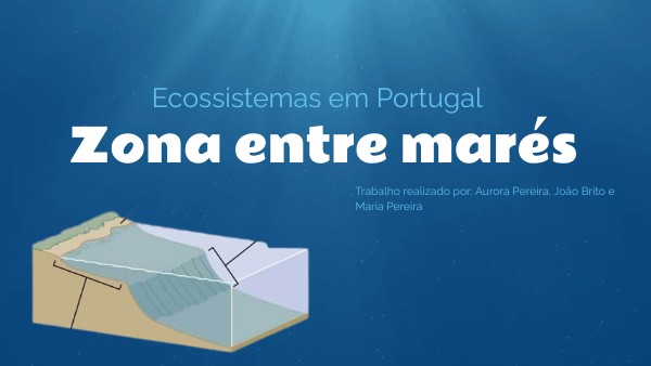 Zona entre marés