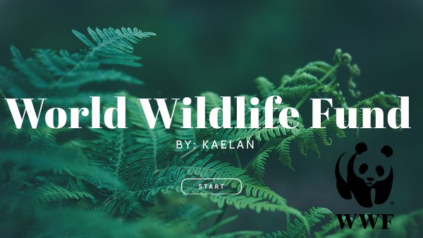 WORLD WILDLIFE FUND
