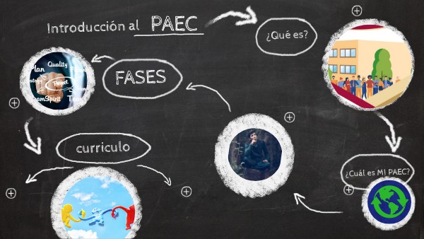 INFOGRAFIA PAEC