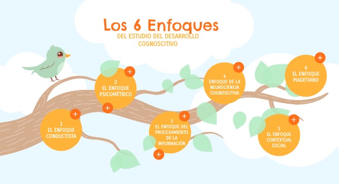 Los 6 enfoques del estudio del desarrollo cognoscitivo