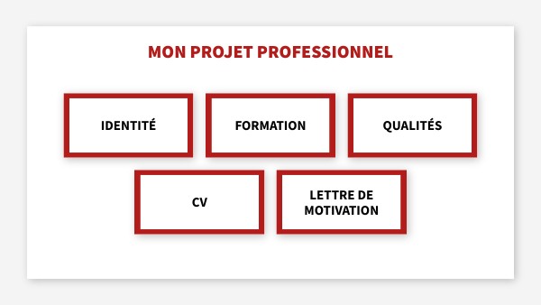 Mon projet professionnel