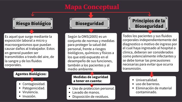 Mapa Conceptual Bioseguridad