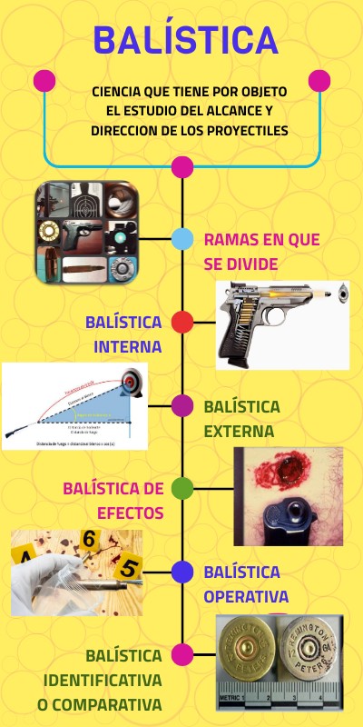 Balística y sus ramas
