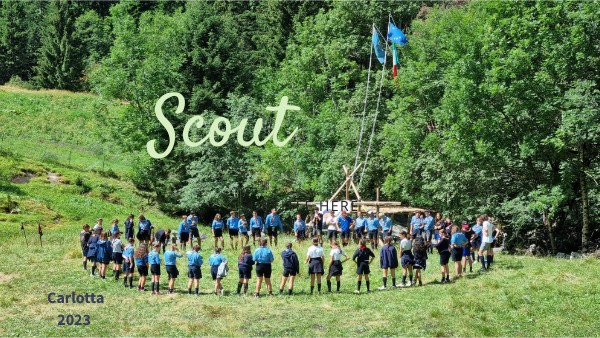 Scout