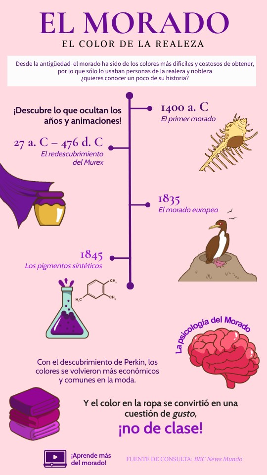 Infografía color morado