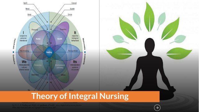 Theory of Integral Nursing